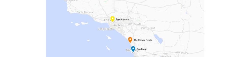 The Flower Fields of Carlsbad in Southern California - Must Love Roses