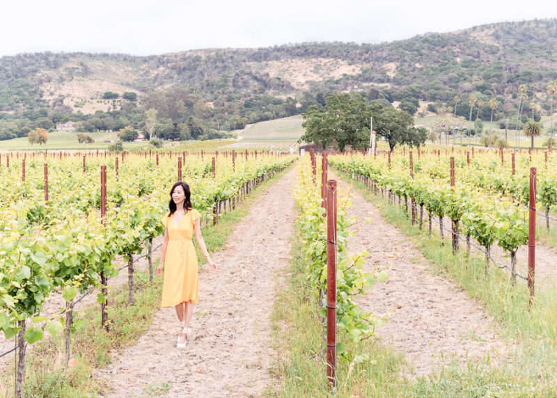 Beautiful Vineyard in Sonoma County with Stunning Views