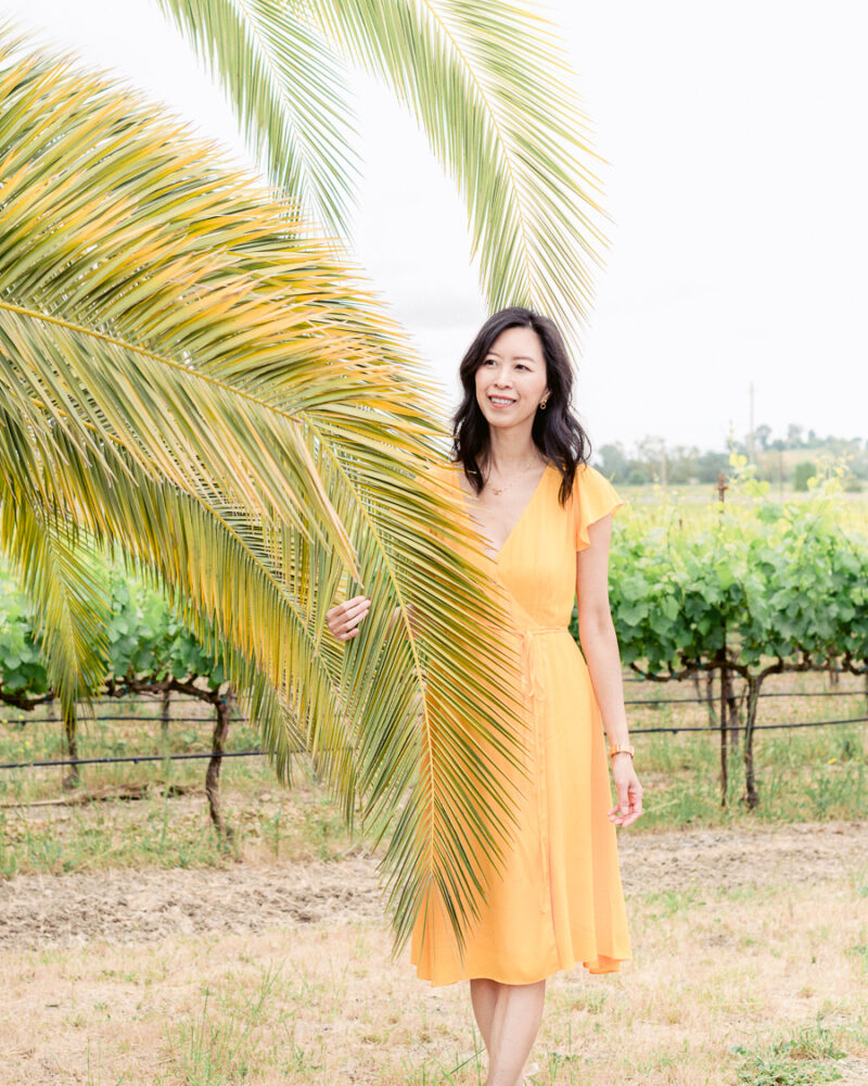 Beautiful Vineyard in Sonoma County with Stunning Views