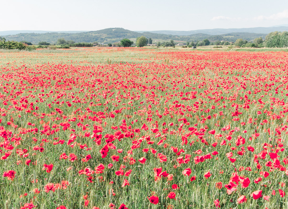 Travel Tips for Visiting Provence in the Spring