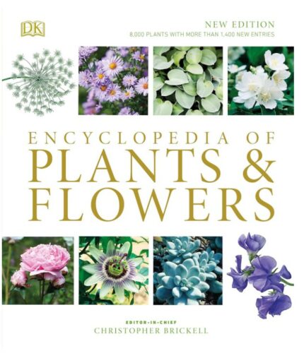 The Most Beautiful Books on Flowers
