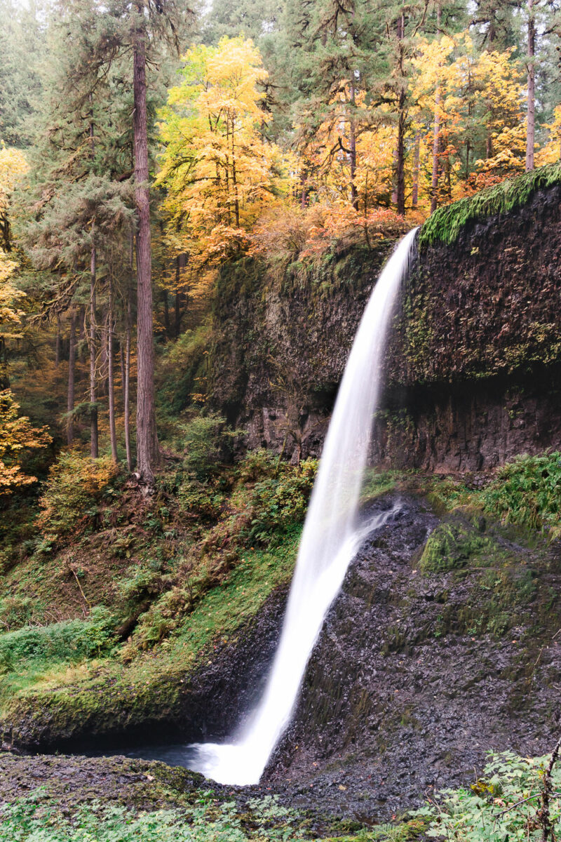 Beautiful Fall Colors at Silver Falls State Park in Oregon