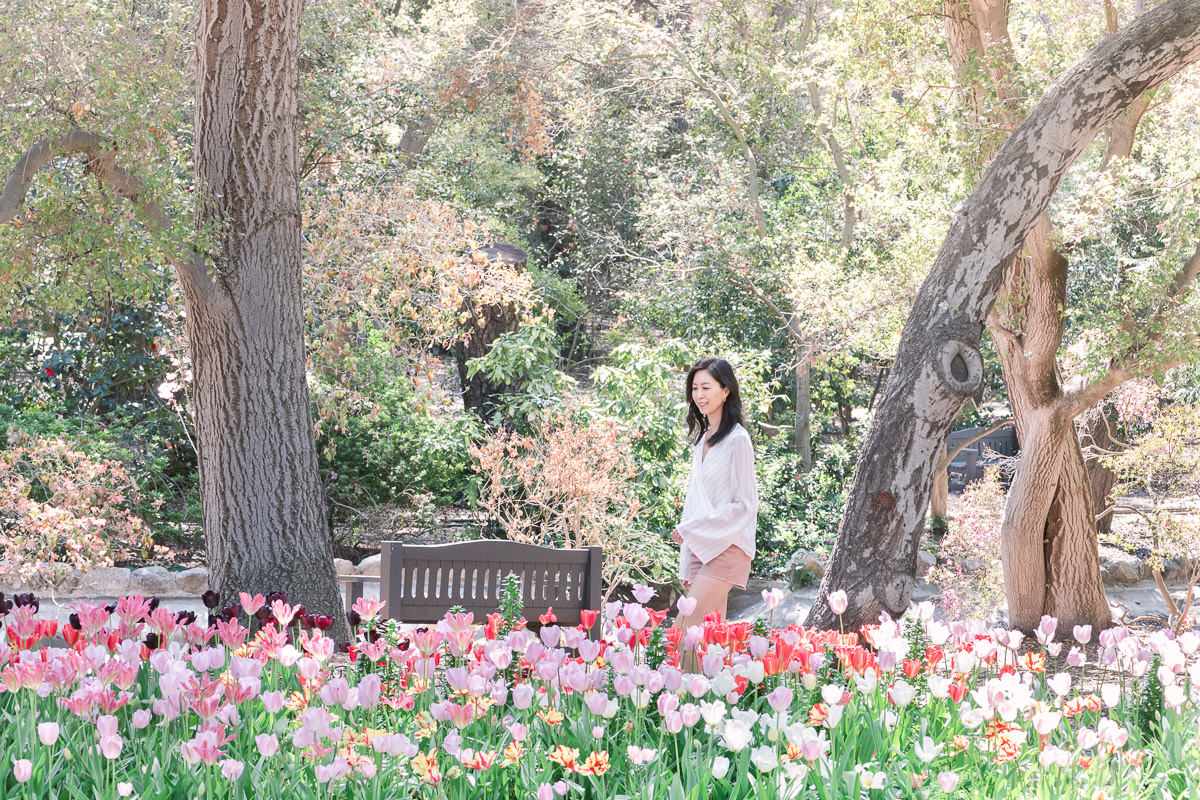 Cherry Blossoms & Tulips at Descanso Gardens