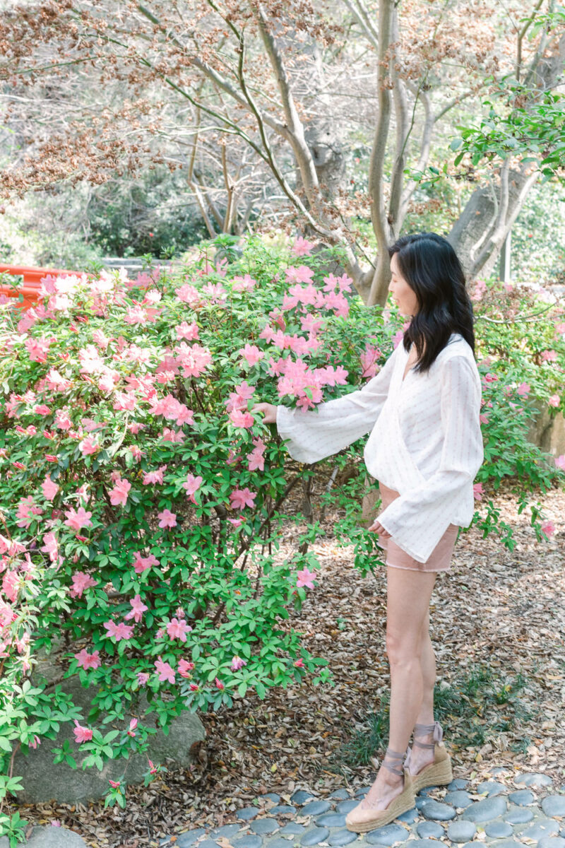 Cherry Blossoms & Tulips at Descanso Gardens