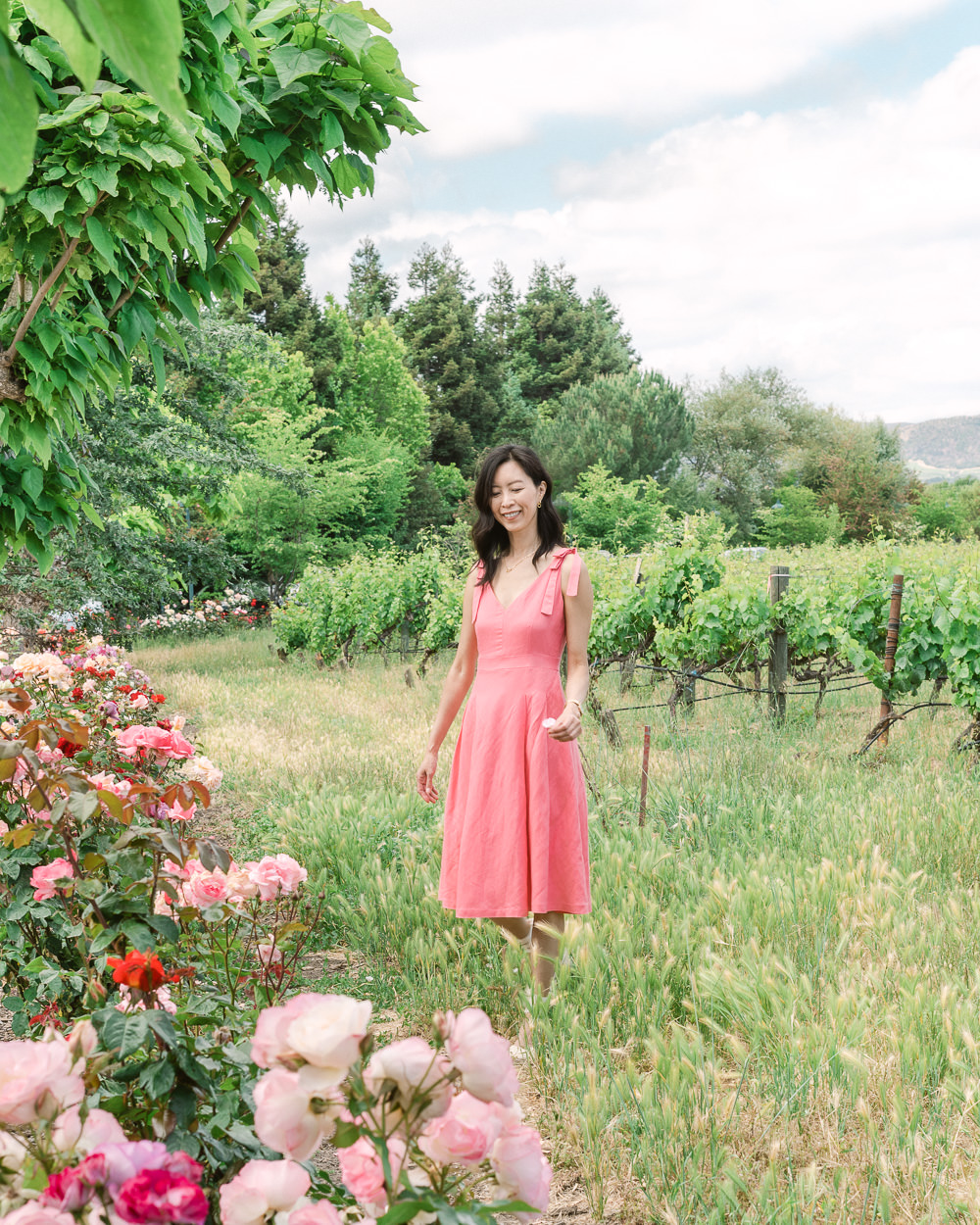 A Beautiful Vineyard in Sonoma with a Rose Garden!