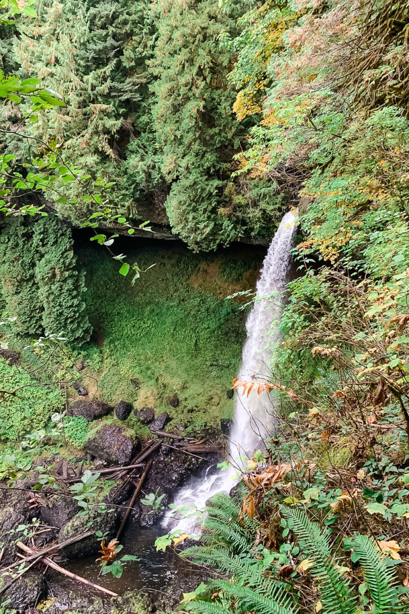 Beautiful Fall Colors at Silver Falls State Park in Oregon