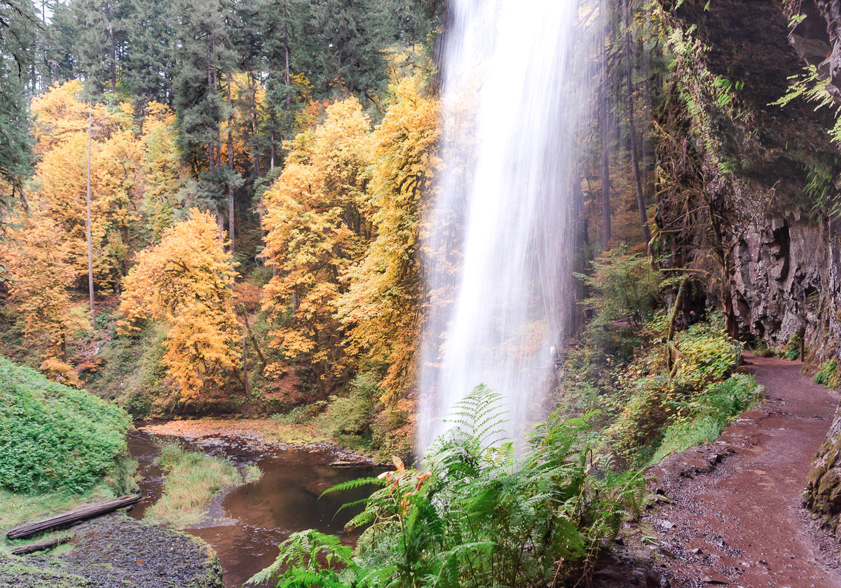 Beautiful Fall Colors at Silver Falls State Park in Oregon