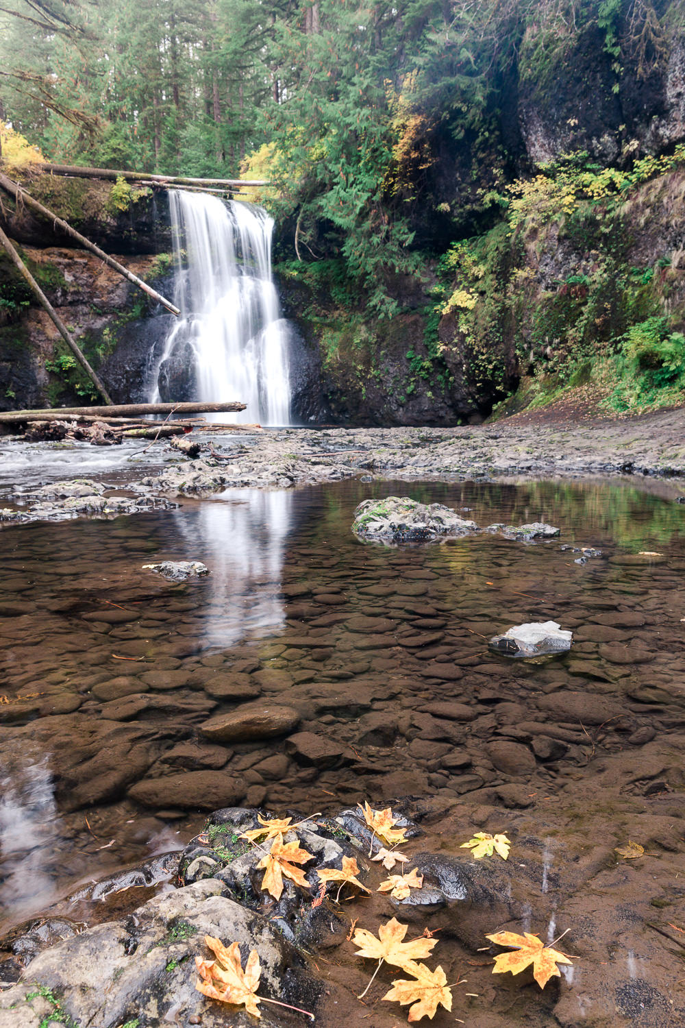 Beautiful Fall Colors at Silver Falls State Park in Oregon