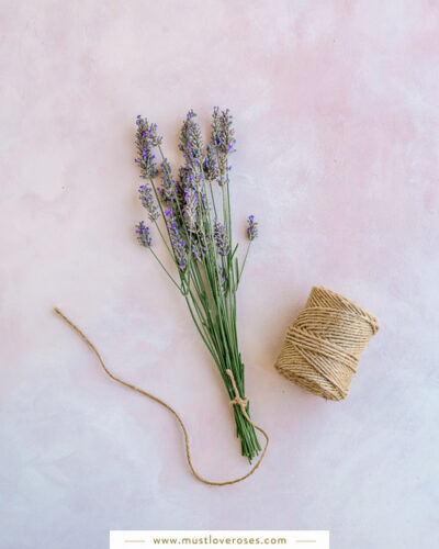 How to Dry Lavender for DIY Projects