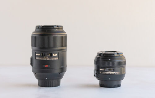 The Best Lenses for Flower Photography