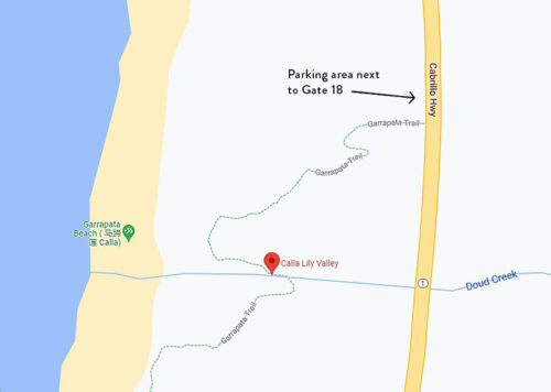 The Calla Lily Valley of Big Sur - Everything You Need to Know!