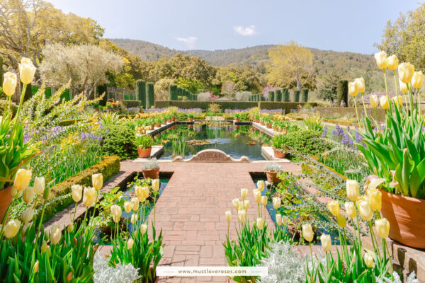 The Most Beautiful Garden in California