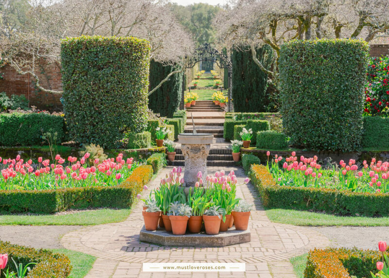 The Most Beautiful Garden in California