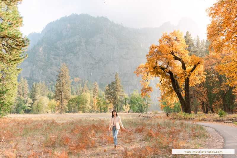 The Best Places to See Fall Colors in Yosemite National Park