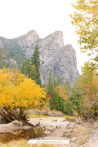 The Best Places to See Fall Colors in Yosemite National Park