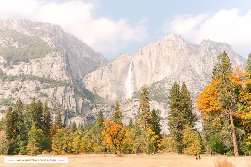 The Best Places to See Fall Colors in Yosemite National Park